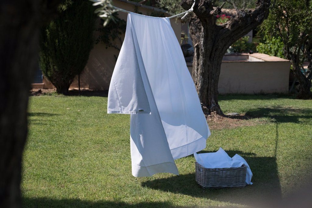 Why Long-Staple Cotton is the Key to Luxury Bedding | Elegant Strand